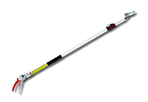 4 Best Telescopic Tree Pruners (2023 Review UK)