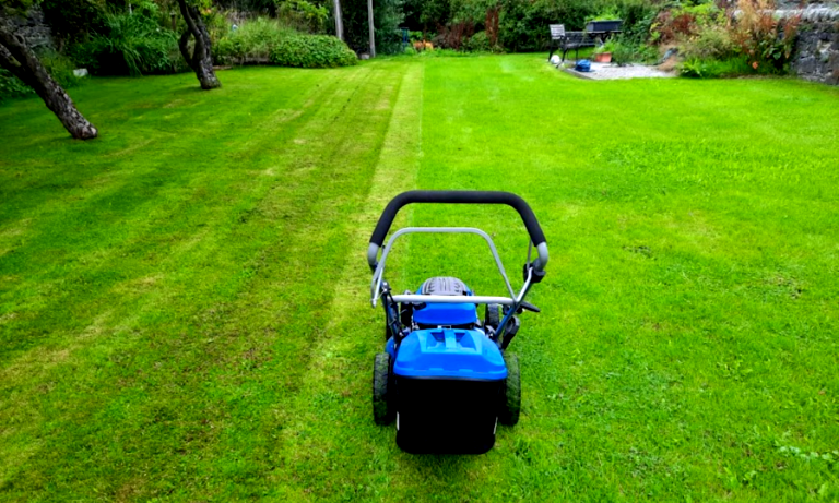 10 Best Cordless Lawn Mowers of 2023 (UK Tested & Reviewed)