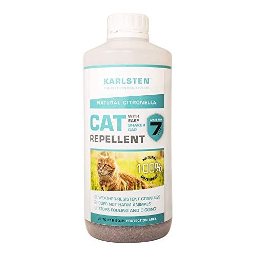 7 Best Cat Repellents For Your Garden (2024 Review UK)