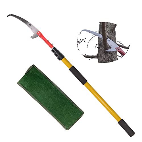 7 Best Telescopic Tree Pruners (2024 Review UK)