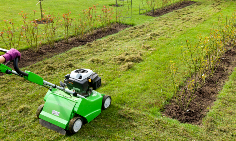 What Does a Lawn Scarifier Do? (How It Benefits Your Grass)