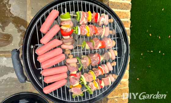 Weber Compact Kettle Charcoal Grill BBQ (Tested & Review)