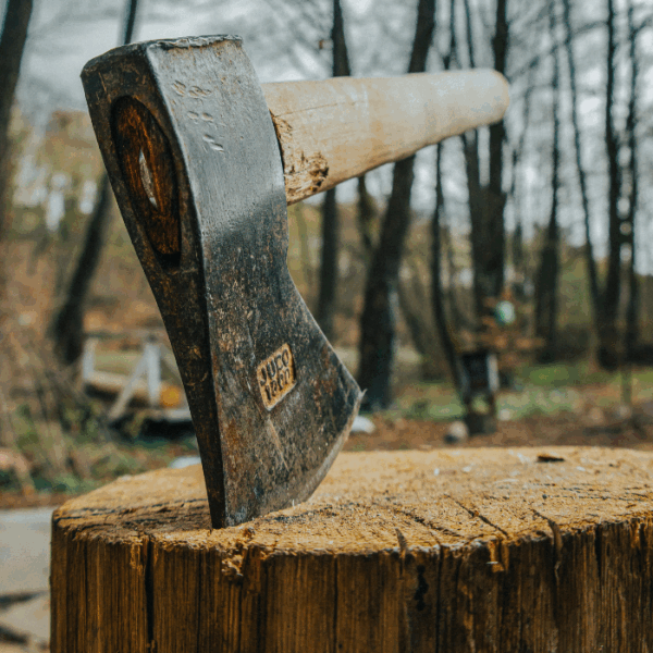 15 Types of Tree Cutting Tools For Pruning, Felling, & Wood