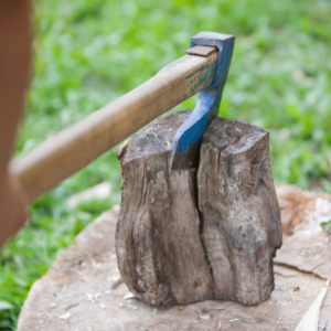 How to Dry Out Wet Firewood Fast (The Ultimate Guide)