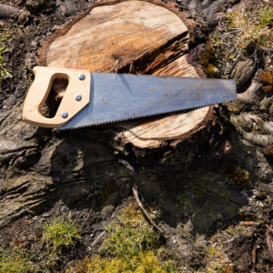 15 Types of Tree Cutting Tools For Pruning, Felling, & Wood