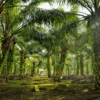 75 Different Types of Palm Trees (With Pictures and Names)