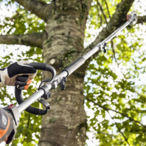15 Types of Tree Cutting Tools For Pruning, Felling, & Wood