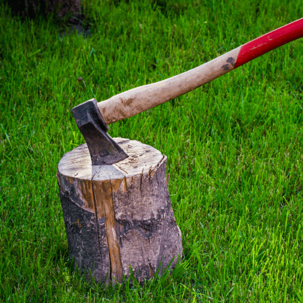 How to Split Logs for Firewood (The Ultimate Guide)