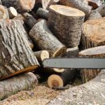 How to Split Logs for Firewood (The Ultimate Guide)