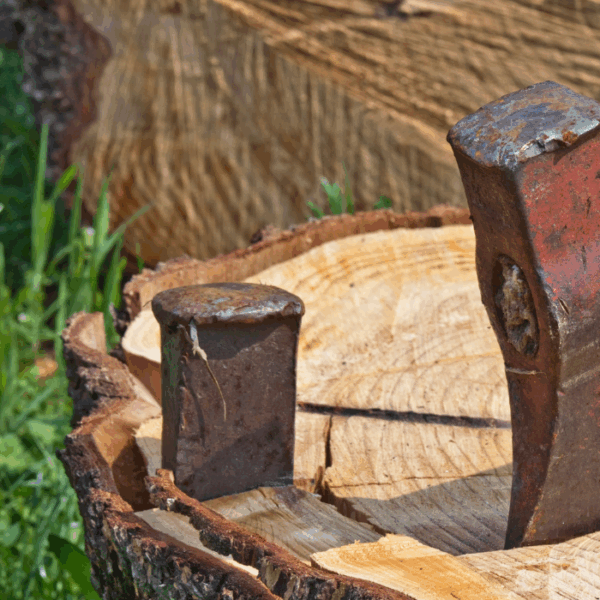 15 Types of Tree Cutting Tools For Pruning, Felling, & Wood
