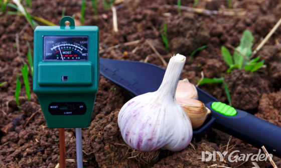 Soil pH for Vegetables Chart (See What You Can Grow Here!)