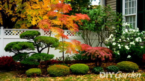 10 Best Small Trees With Non-Invasive Roots For Front Garden