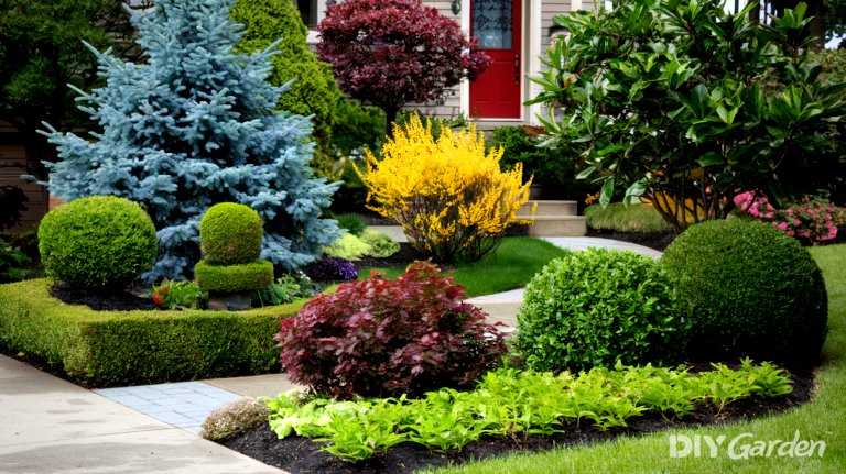 17 Best Shrubs for Front of House to Boost Your Curb Appeal