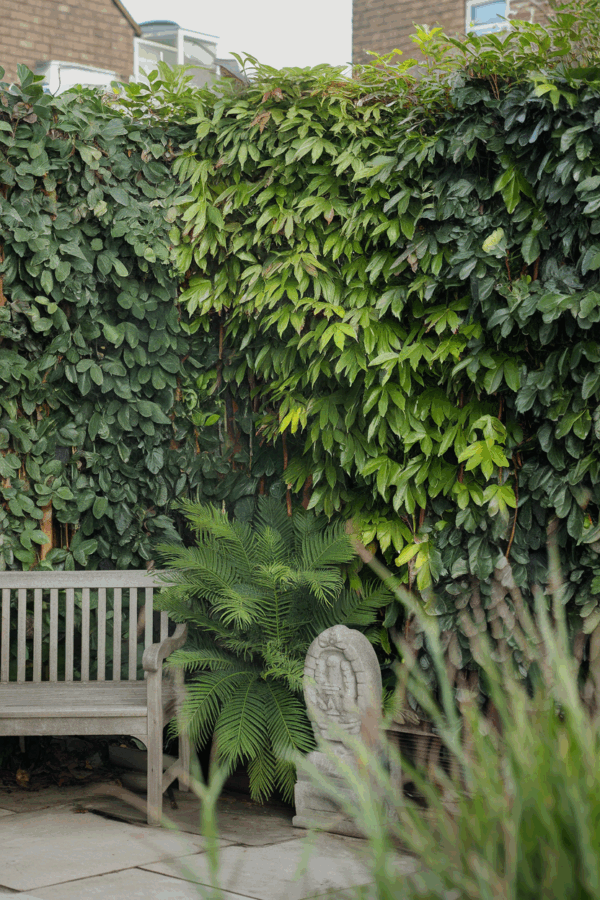 15 DIY Back Garden Privacy Screen Ideas (Block Neighbour's)