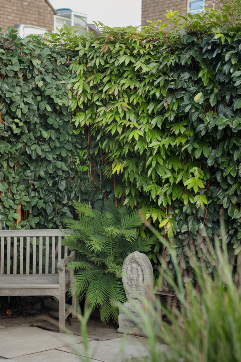 15 DIY Back Garden Privacy Screen Ideas (Block Neighbour's)