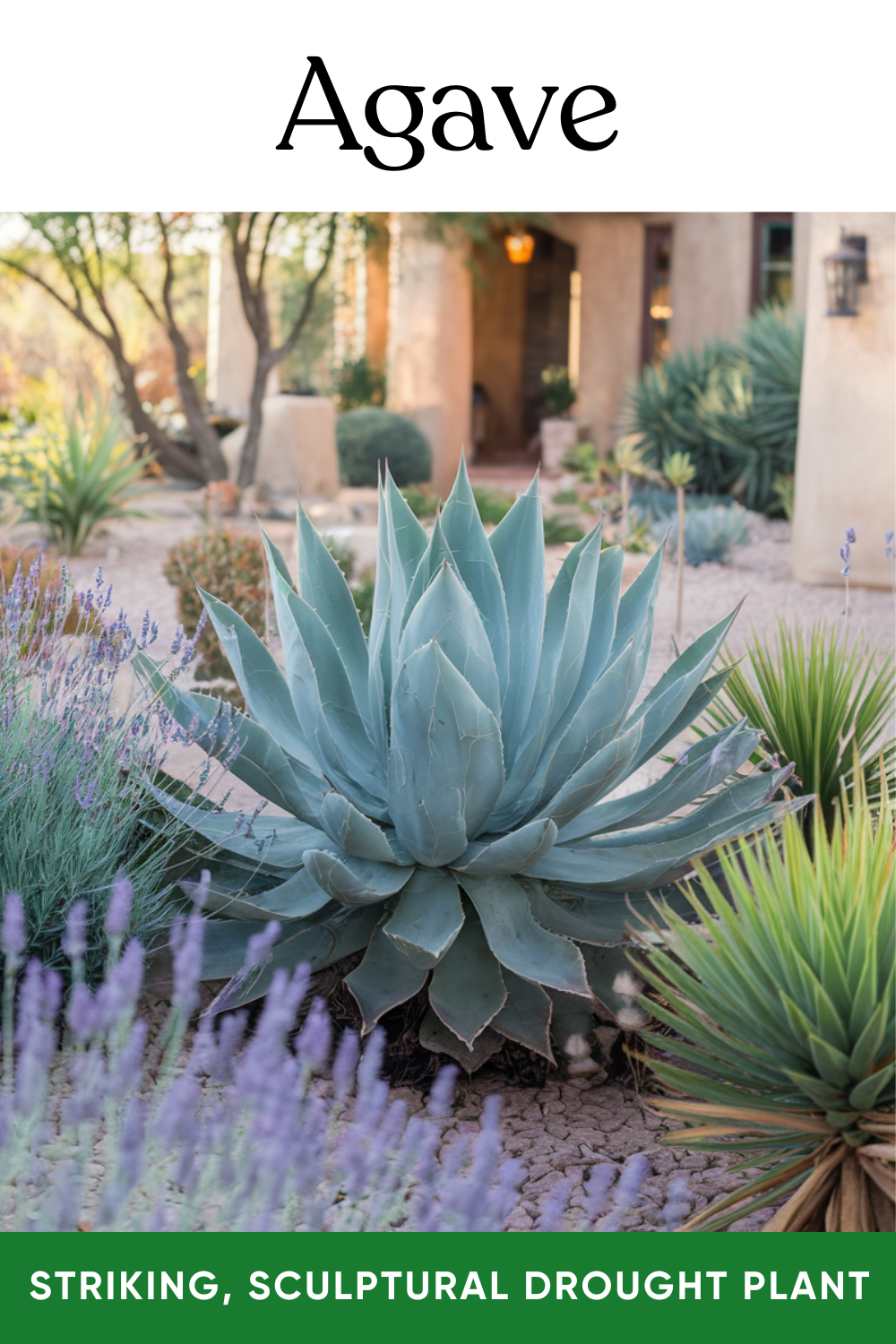 25 Best Foundation Plants for Your Front Yard | DIY Garden