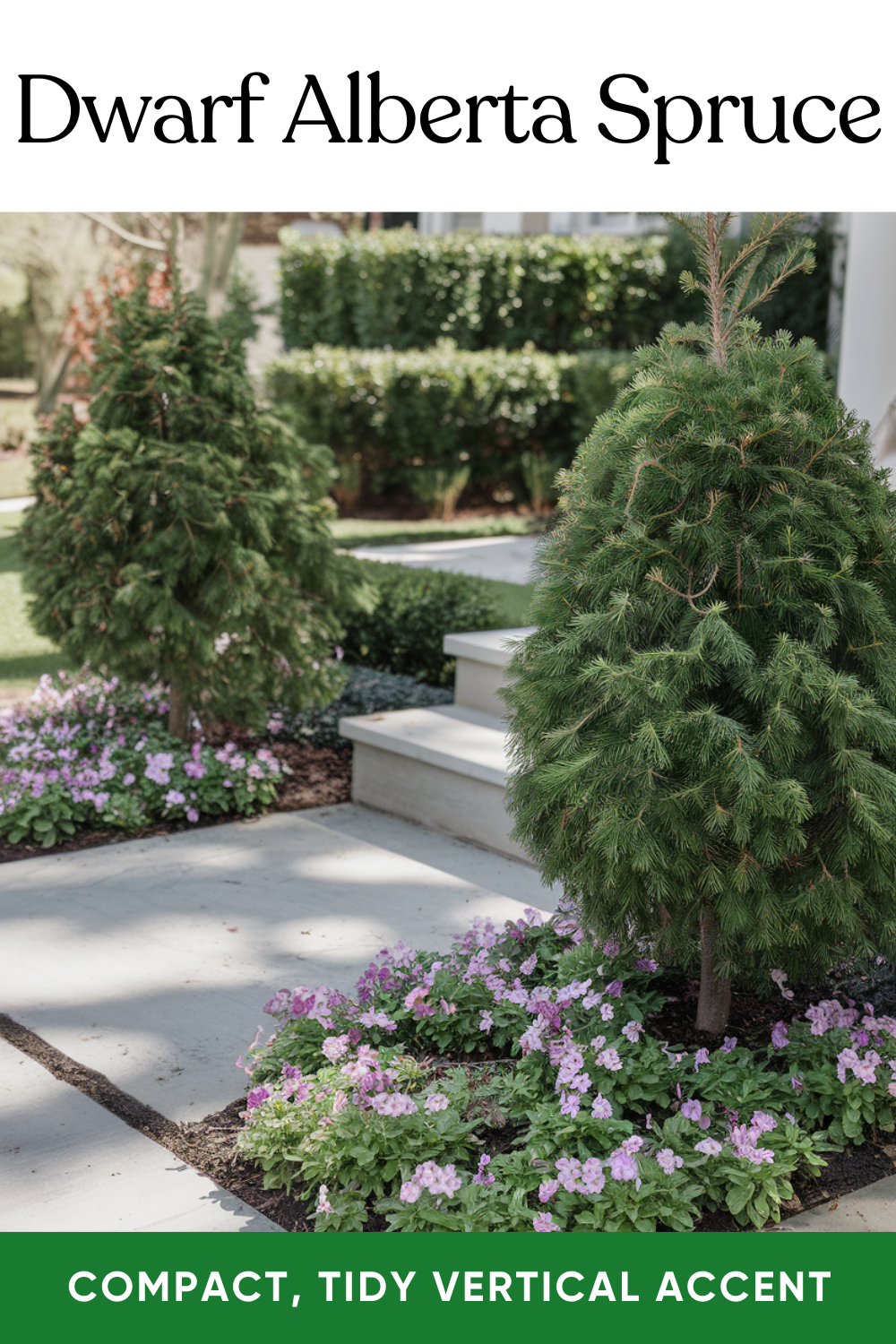 25 Best Foundation Plants for Your Front Yard | DIY Garden