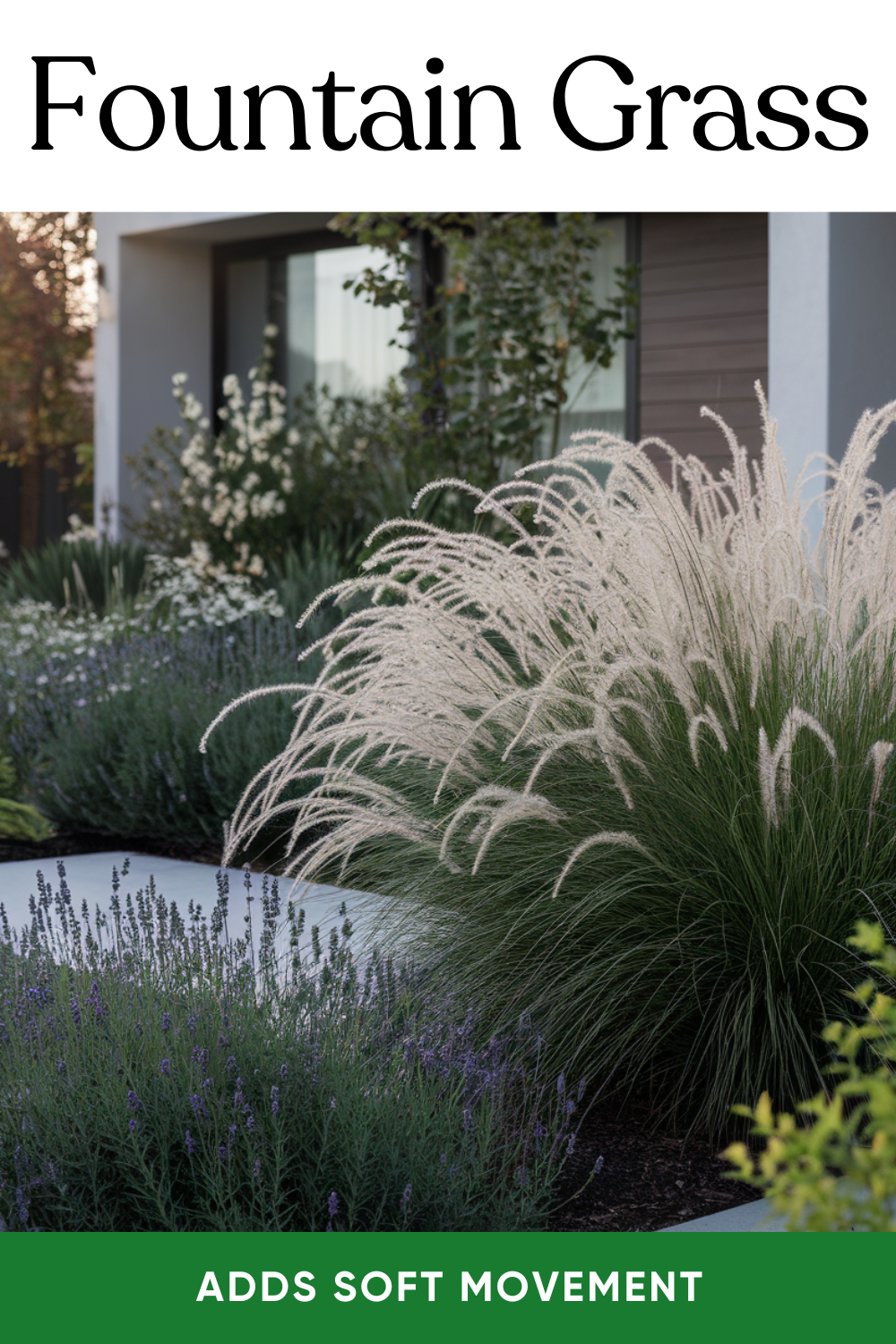 25 Best Foundation Plants for Your Front Yard | DIY Garden