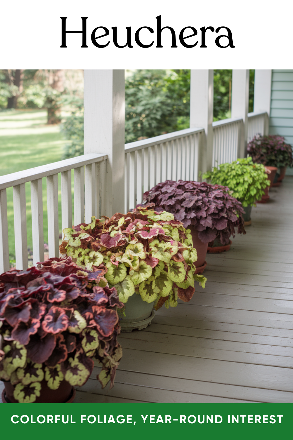 15 Best Shade Loving Plants for Where The Sun Don't Shine! | DIY Garden