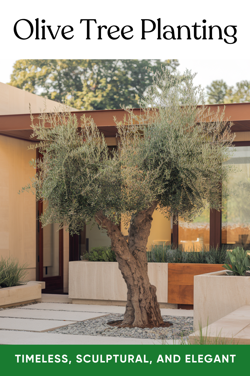 33 Modern Front Yard Landscaping Ideas | DIY Garden