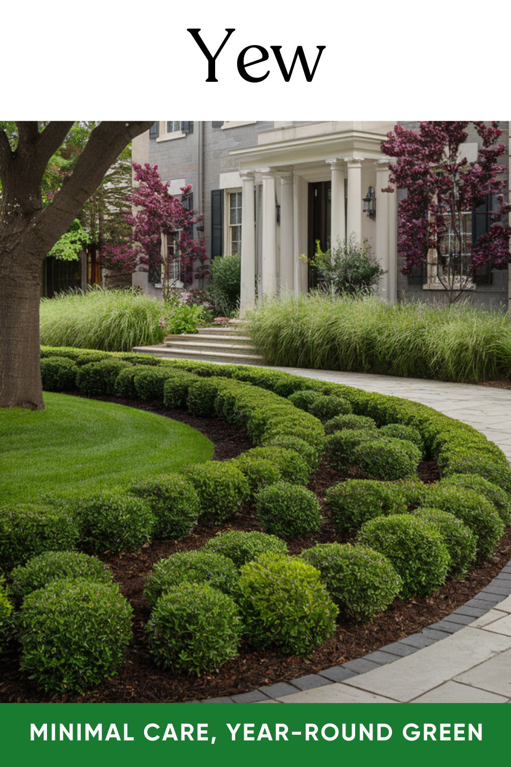 25 Low-Maintenance Shrubs for Your Front Yard | DIY Garden
