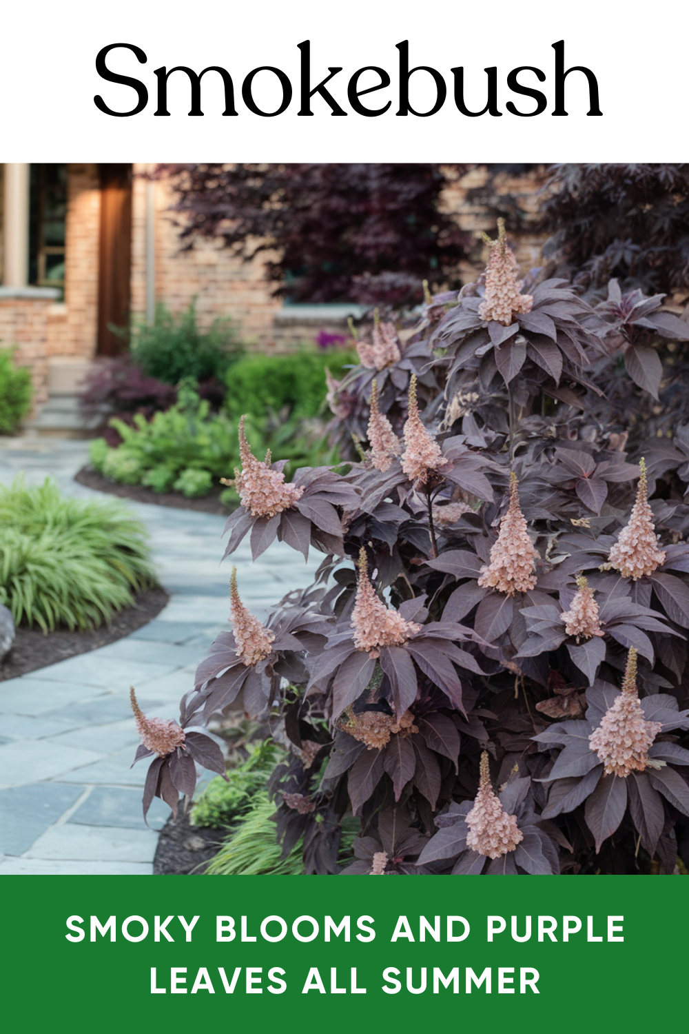 30 Colorful Shrubs to Add Year-Round Color to Your Landscape | DIY Garden