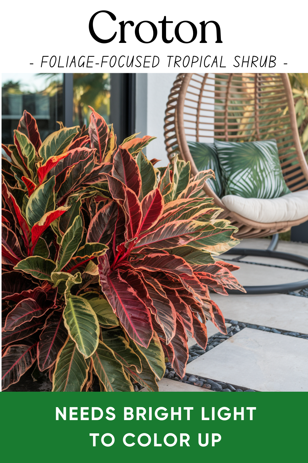 25 Tropical Shrubs & Plant Ideas for Backyard & Pool Landscaping | DIY ...