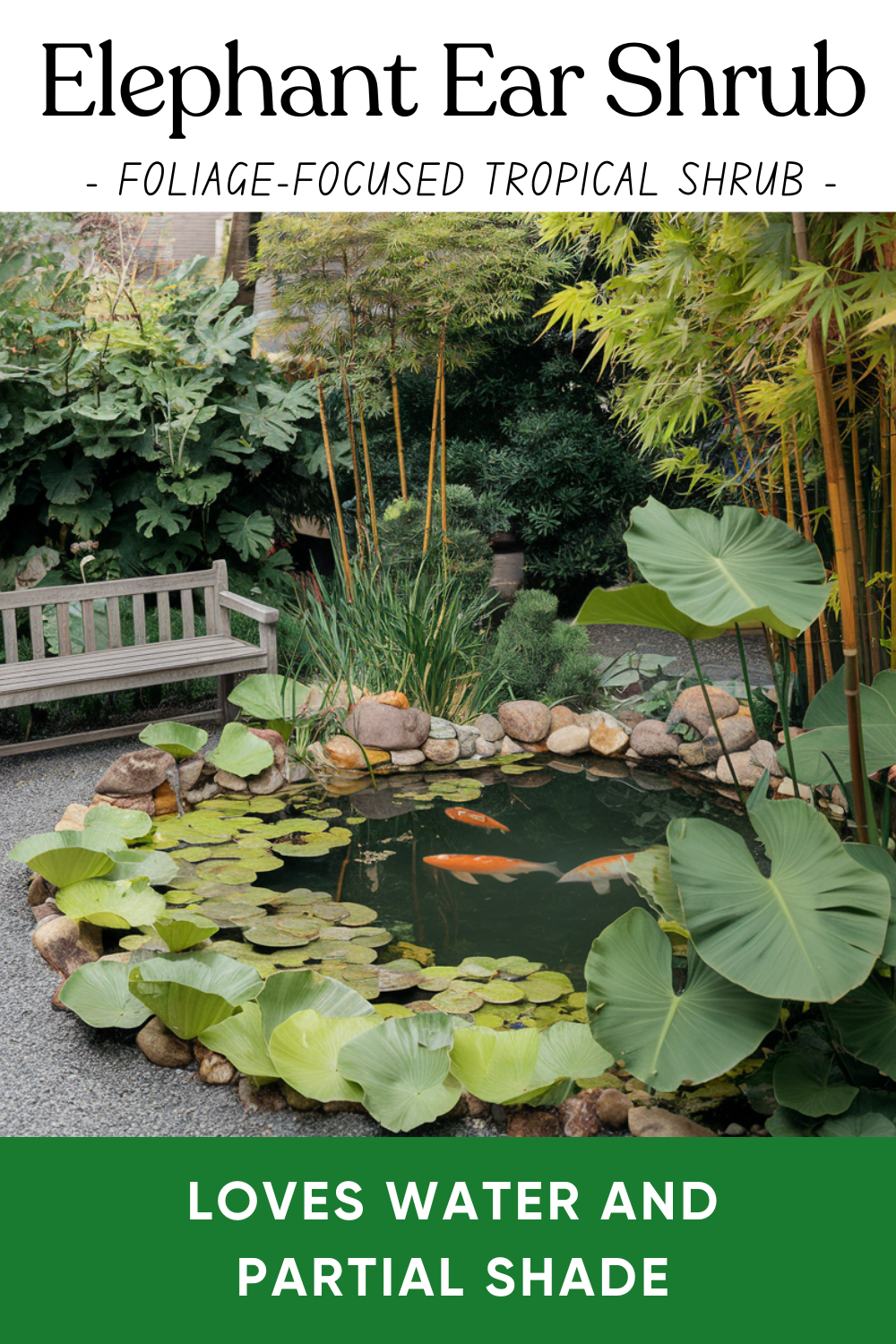 25 Tropical Shrubs & Plant Ideas for Backyard & Pool Landscaping | DIY ...