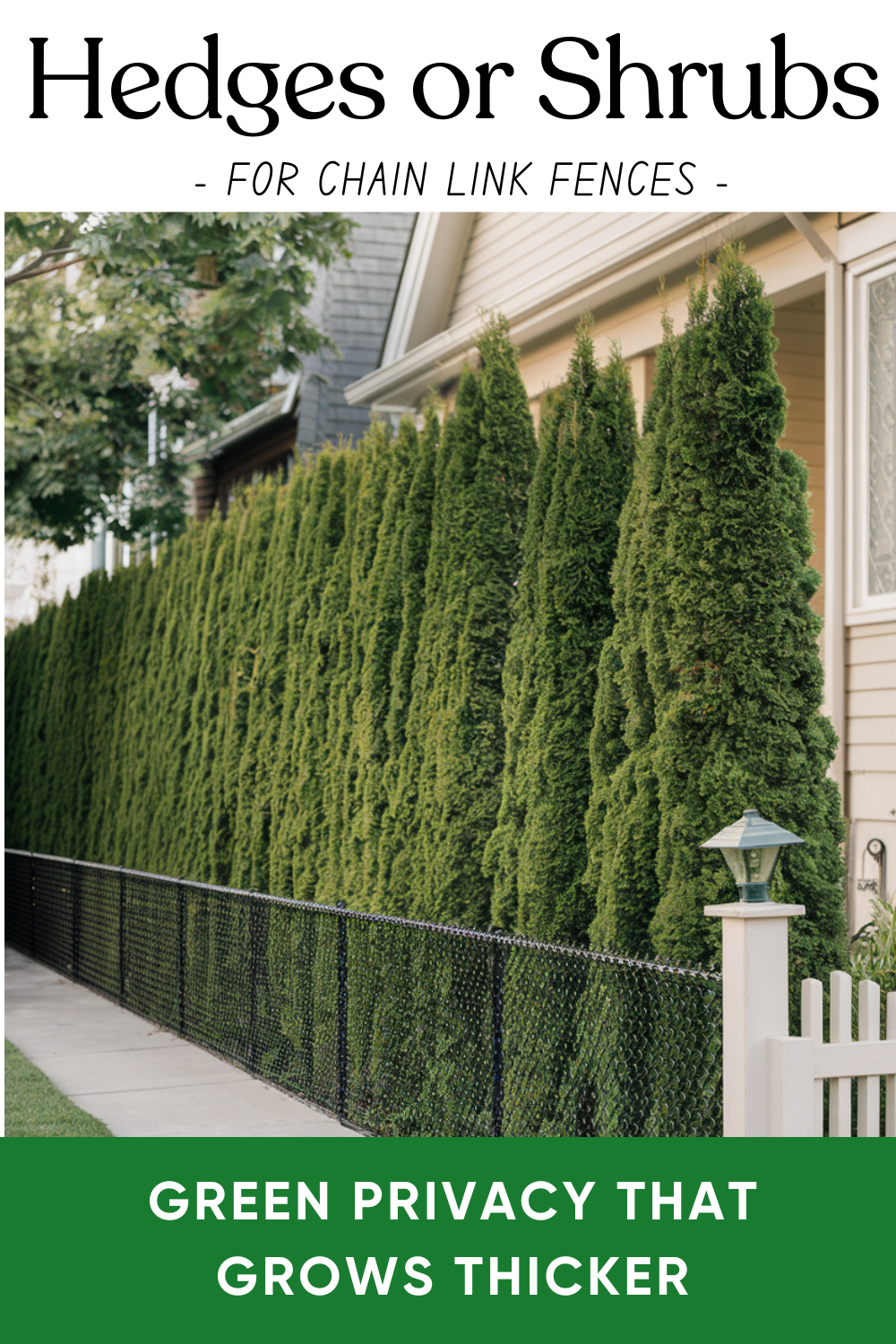 20 Chain Link Fence Privacy Ideas To Cover Them Up! | DIY Garden