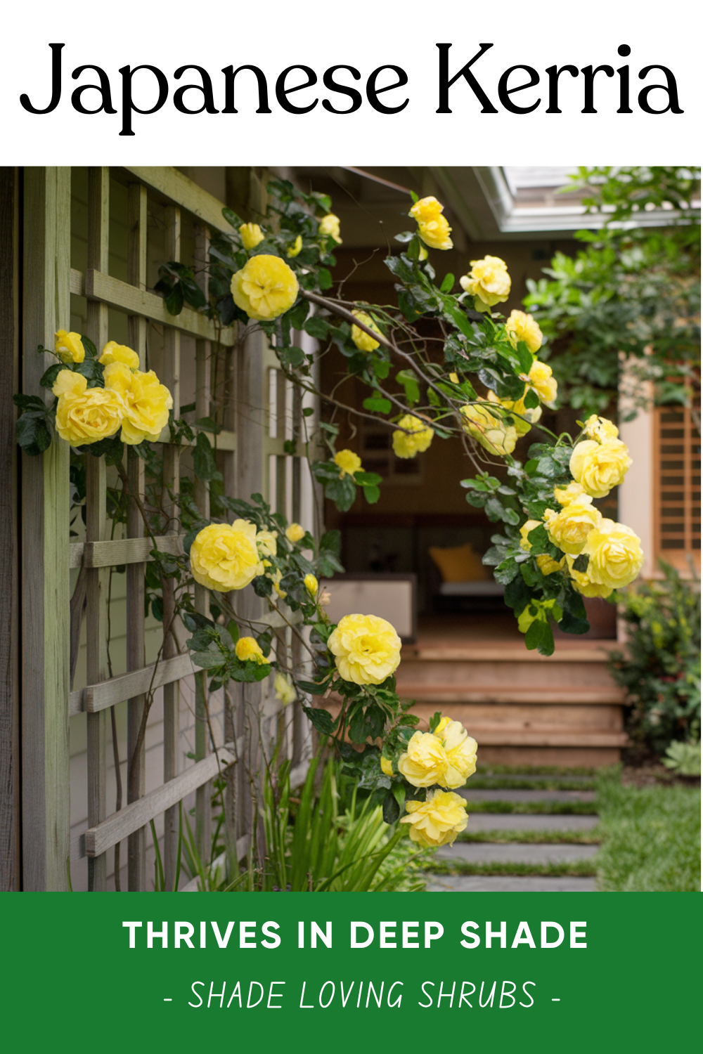 25 Best Shrubs That Thrive in the Shade | DIY Garden