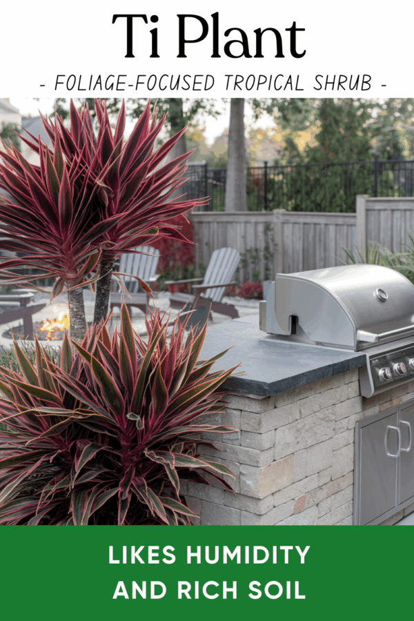25 Tropical Shrubs & Plant Ideas for Backyard & Pool Landscaping | DIY ...