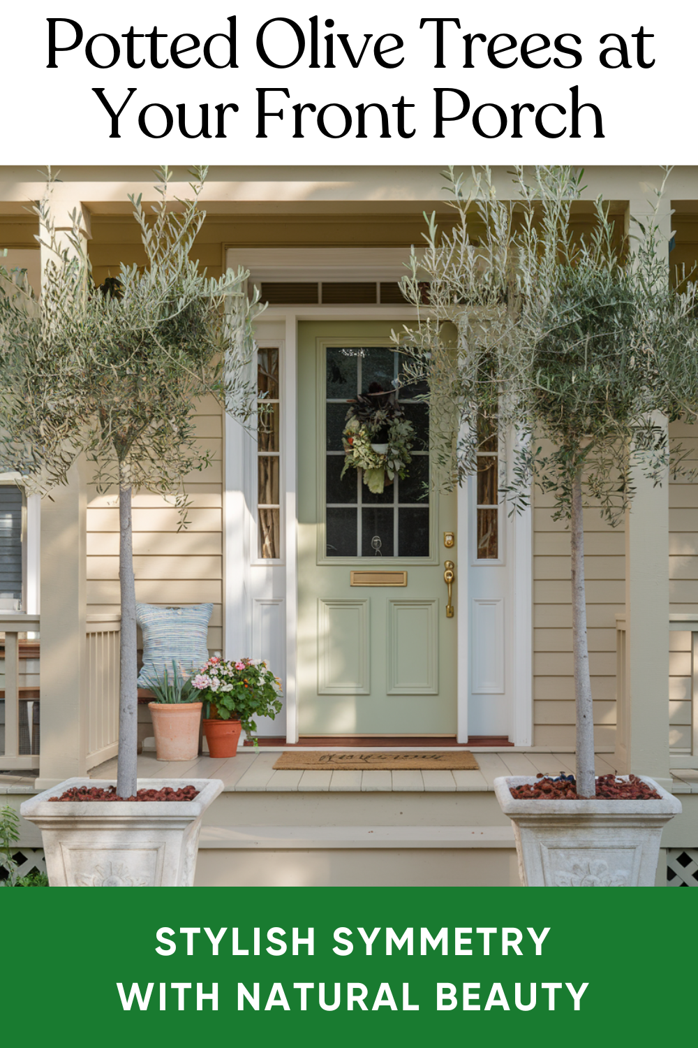 15 Stunning Olive Tree Landscaping Ideas | DIY Garden