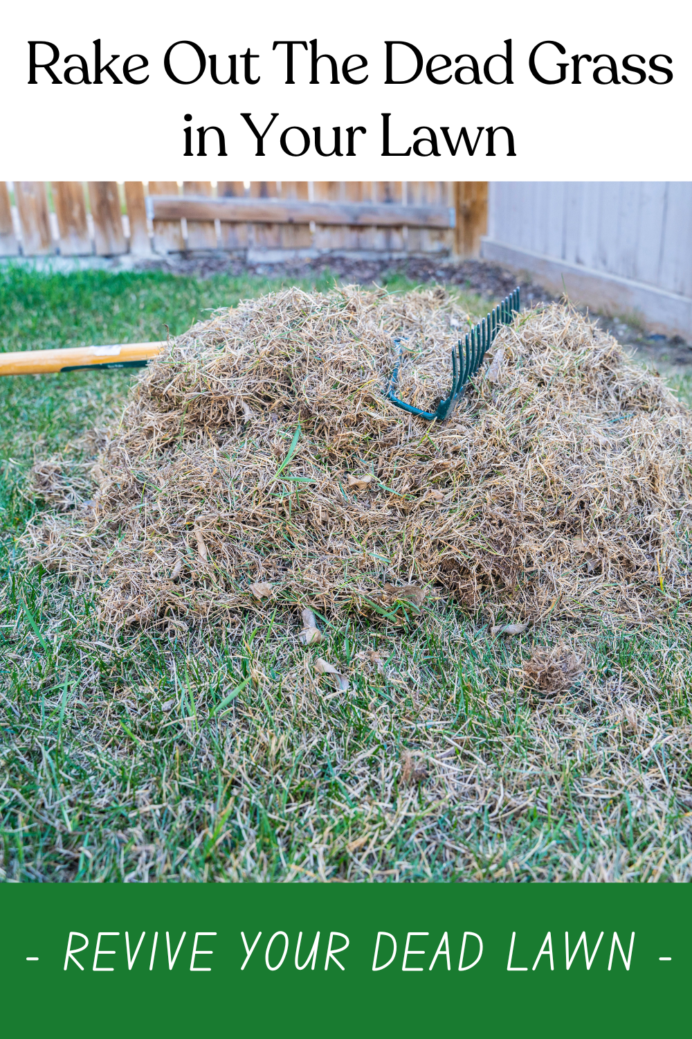 How To Revive Dead Grass: Step-by-Step Lawn Rescue | DIY Garden