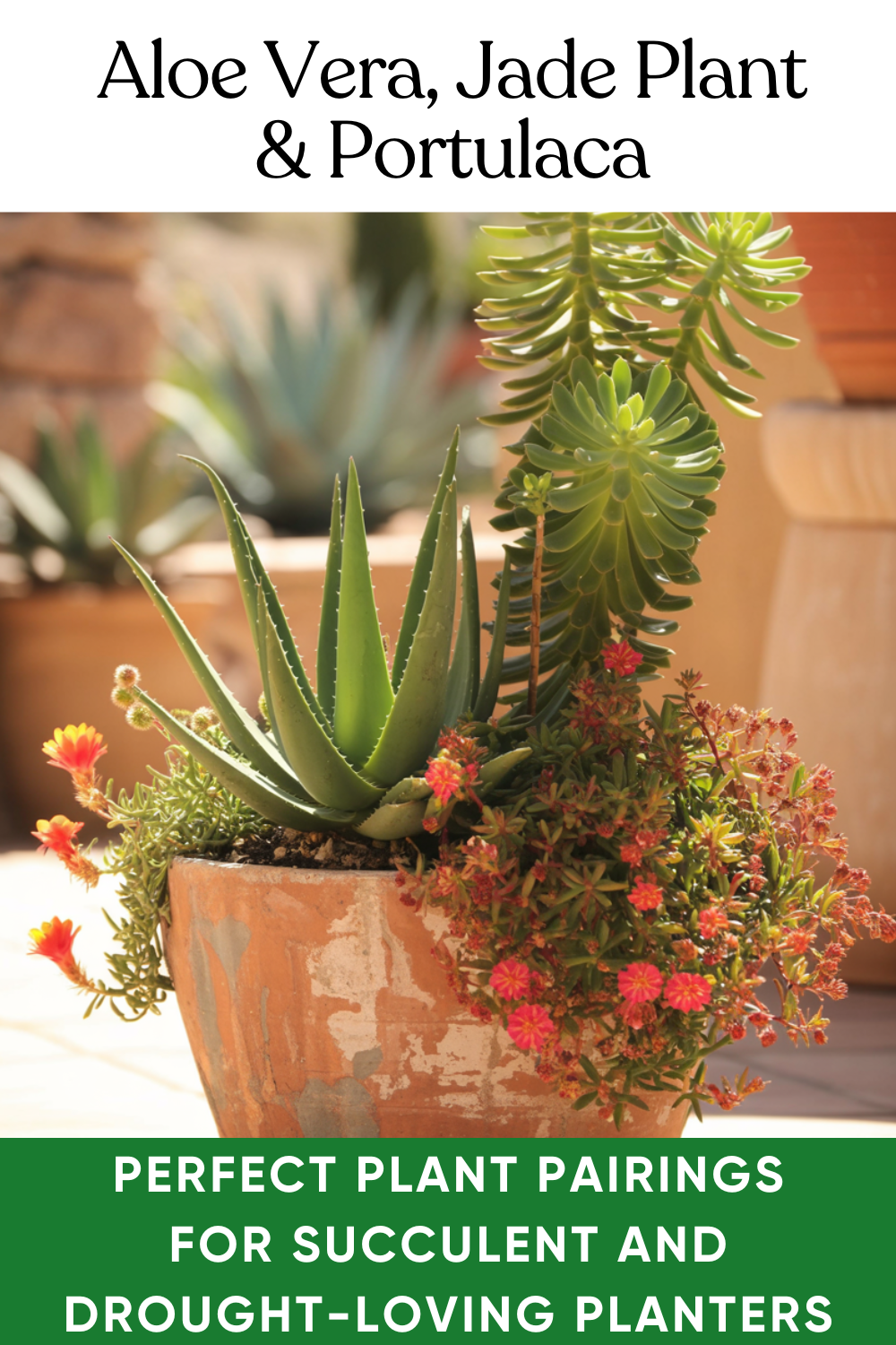 25 Planter Pairings That Beautifully Complement Each Other | DIY Garden
