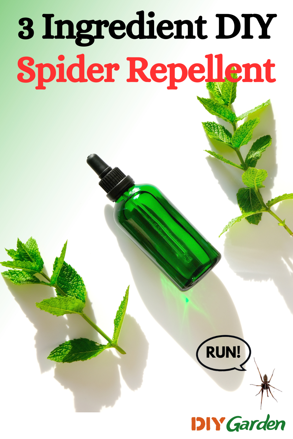 13 Natural Ways to Keep Spiders Out of Your House | DIY Garden
