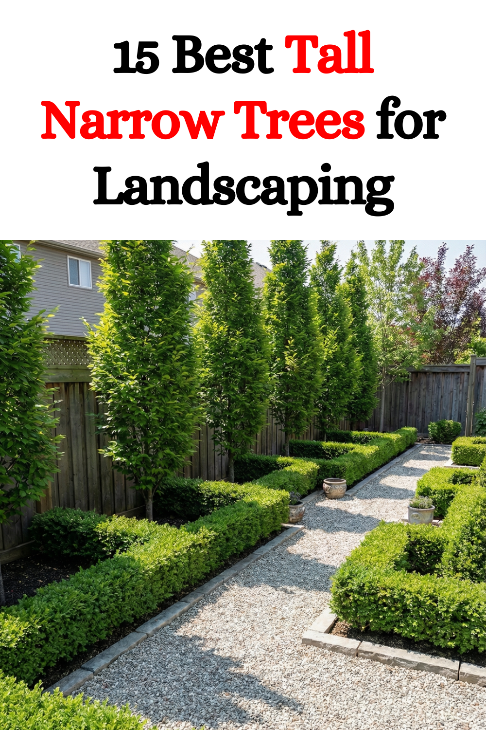 15 Best Tall Narrow Trees for Landscaping Small Spaces and Backyards ...