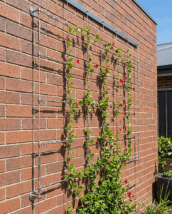 15 Garden Trellis Design Ideas to Elevate Your Outdoor Space This ...