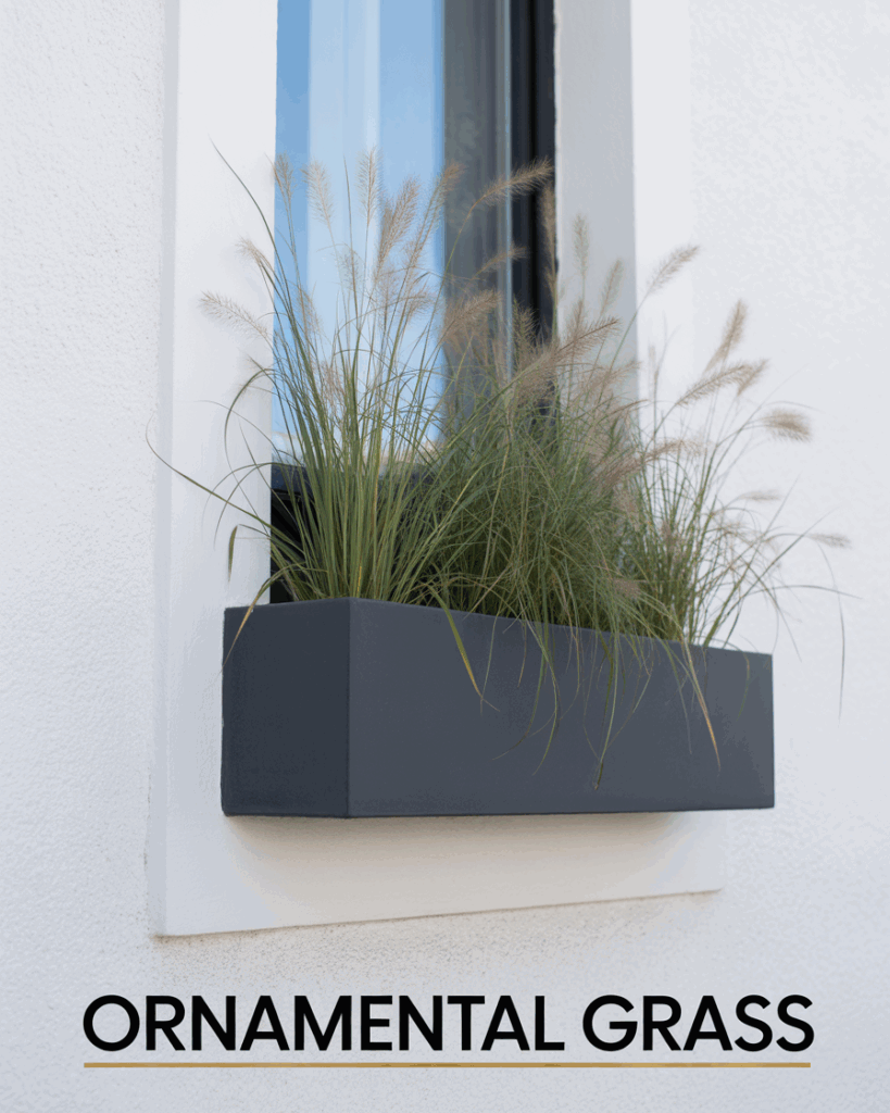 15 Outdoor Window Ledge Container Ideas for Stunning Small Space ...