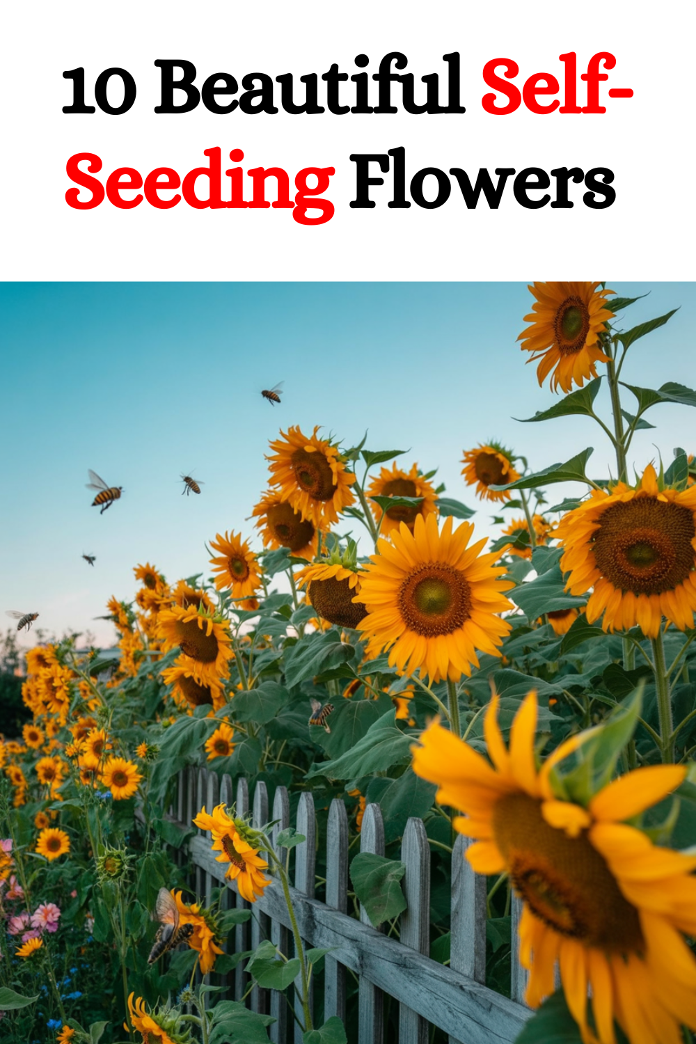 10 Beautiful Self-Seeding Flowers That Will Fill Your Garden With Color ...